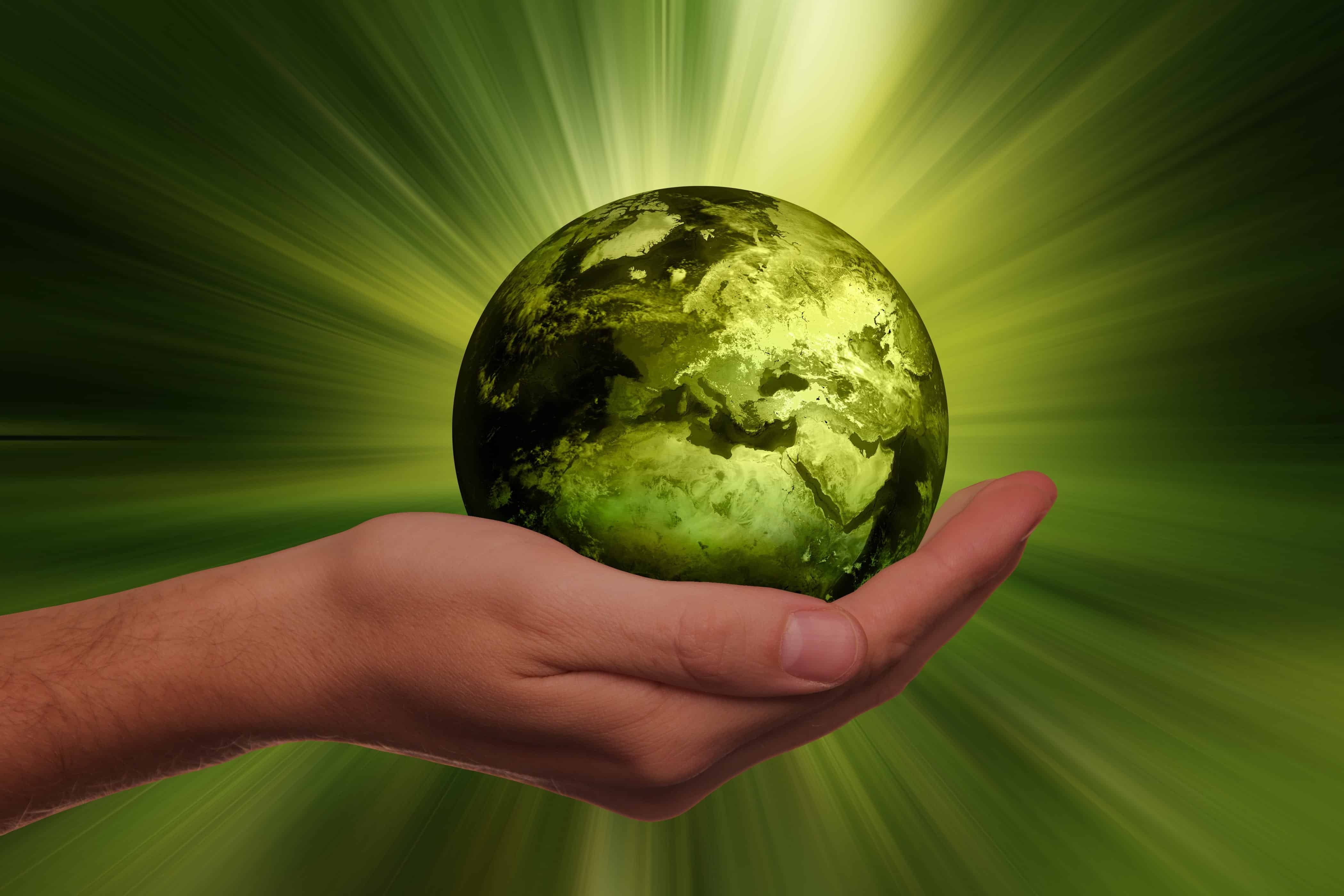 ISO 14001 Environmental management in Mexico: What are the laws?